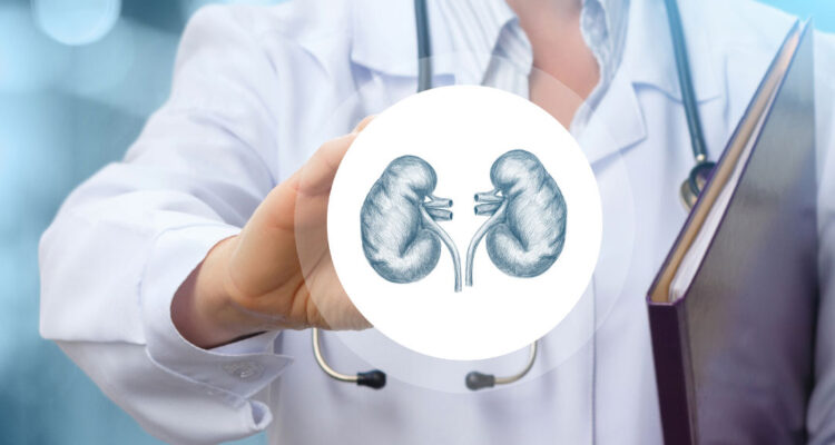 Nuestros servicios - CECAMB